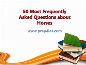 50 Most Frequently Asked Questions about Horses | PREP4IAS